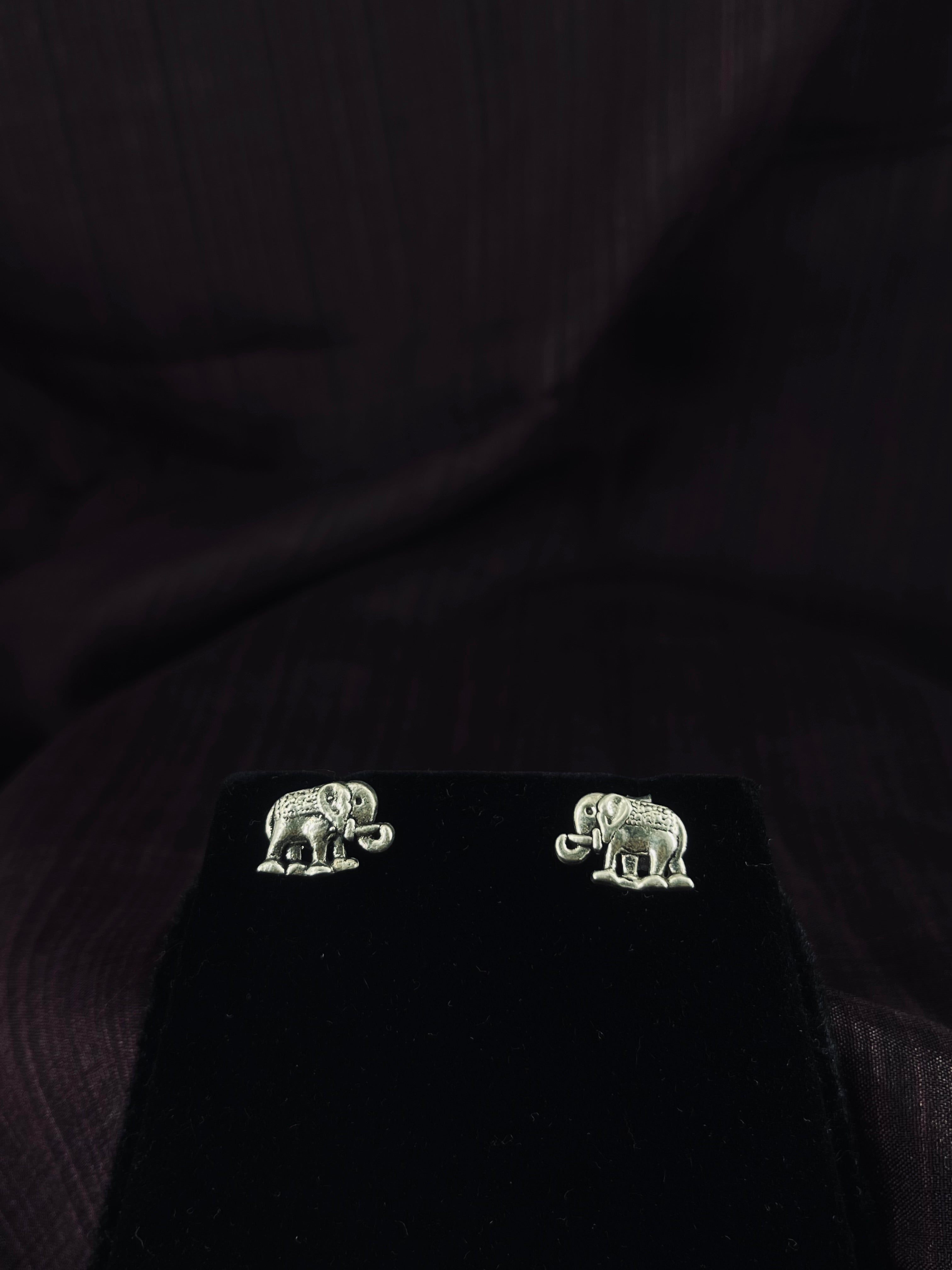 Gaj Earrings – omniaa
